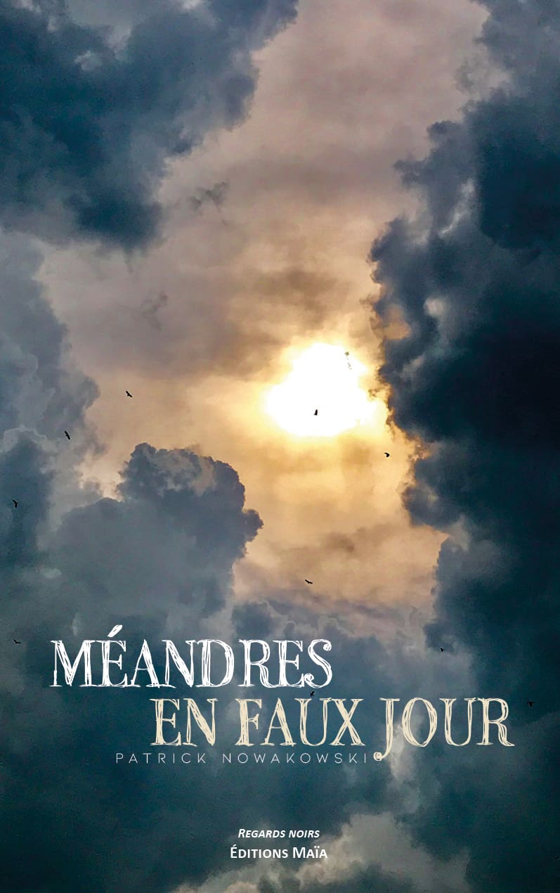 Méandres en faux jour par Patrick Nowakowski • Achat en ligne avec ...